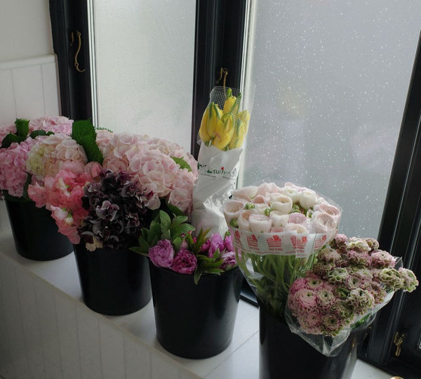 Workshops – Poho Flowers