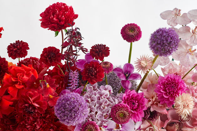 Events – Poho Flowers